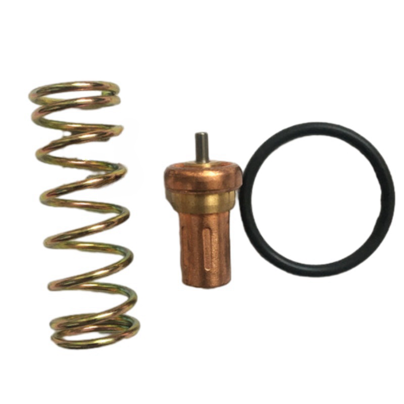 2205251540 2205-2515-40 Thermostatic Valve Kit Replacement for Atlas C ...
