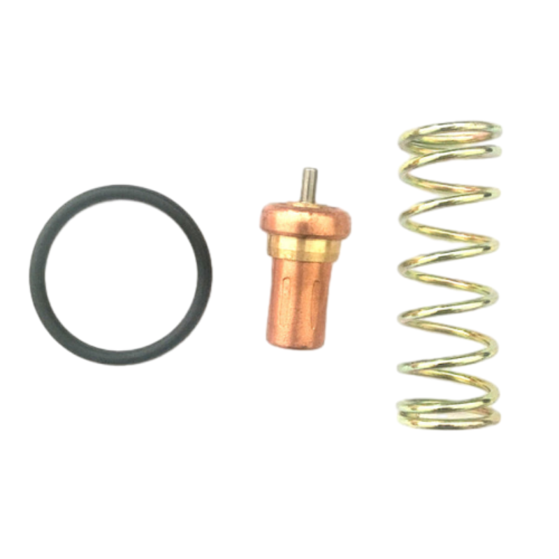2205251540 2205-2515-40 Thermostatic Valve Kit Replacement for Atlas C ...